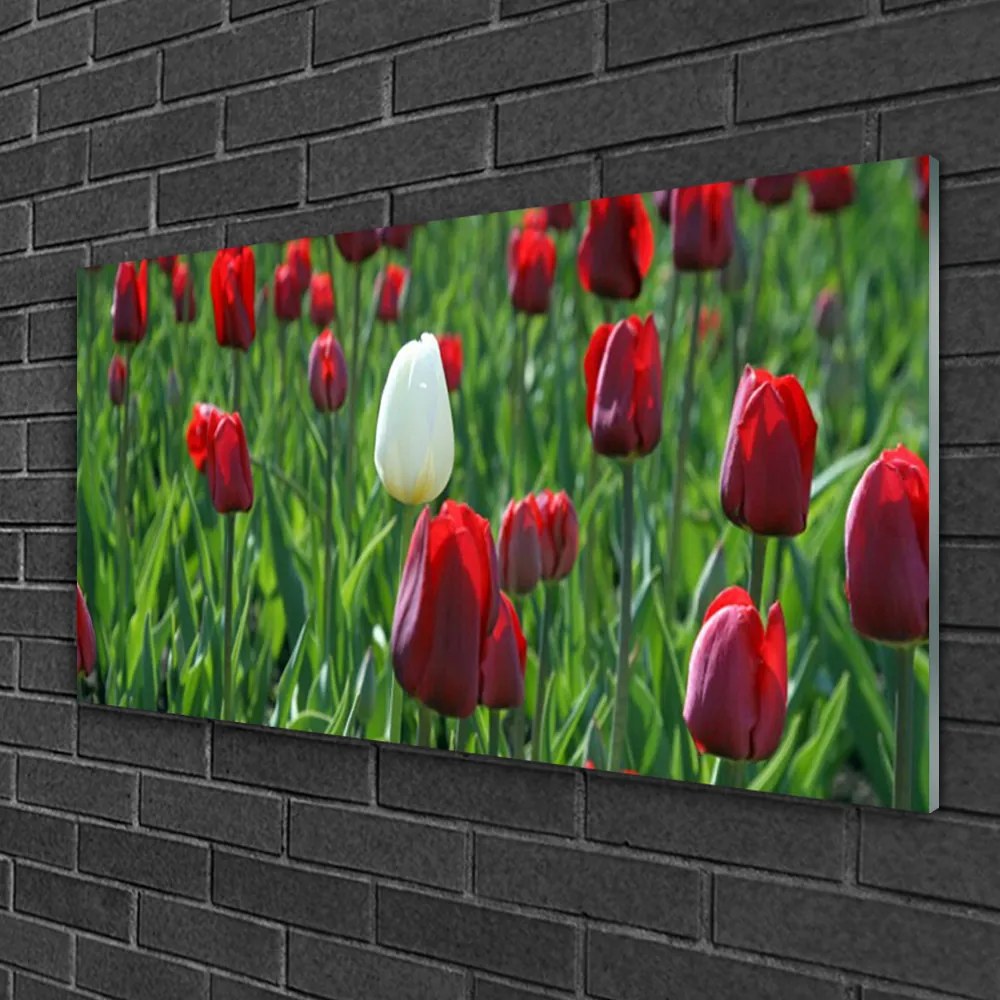 Obraz na skle Tulipány Květiny Příroda 100x50 cm