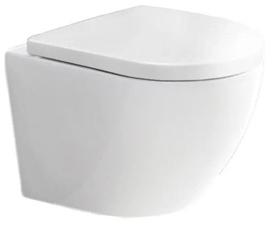 Mereo WC závěsné kapotované, RIMLESS, 490x370x360, keramické, vč. sedátka CSS115SN VSD82S2