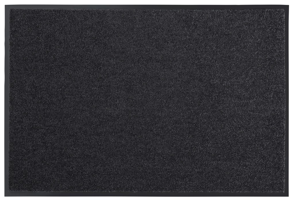 Hanse Home, Rohožka Wash & Clean 102011 Black, 60x90, šedá, chodba / předsíň