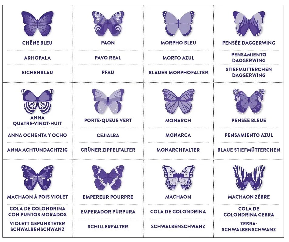 Mudpuppy Pexeso motýli