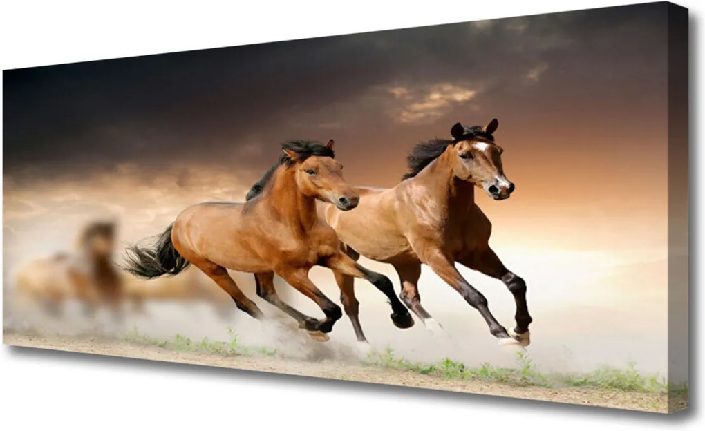 Obraz na plátně Skleněný Koně Zvířata