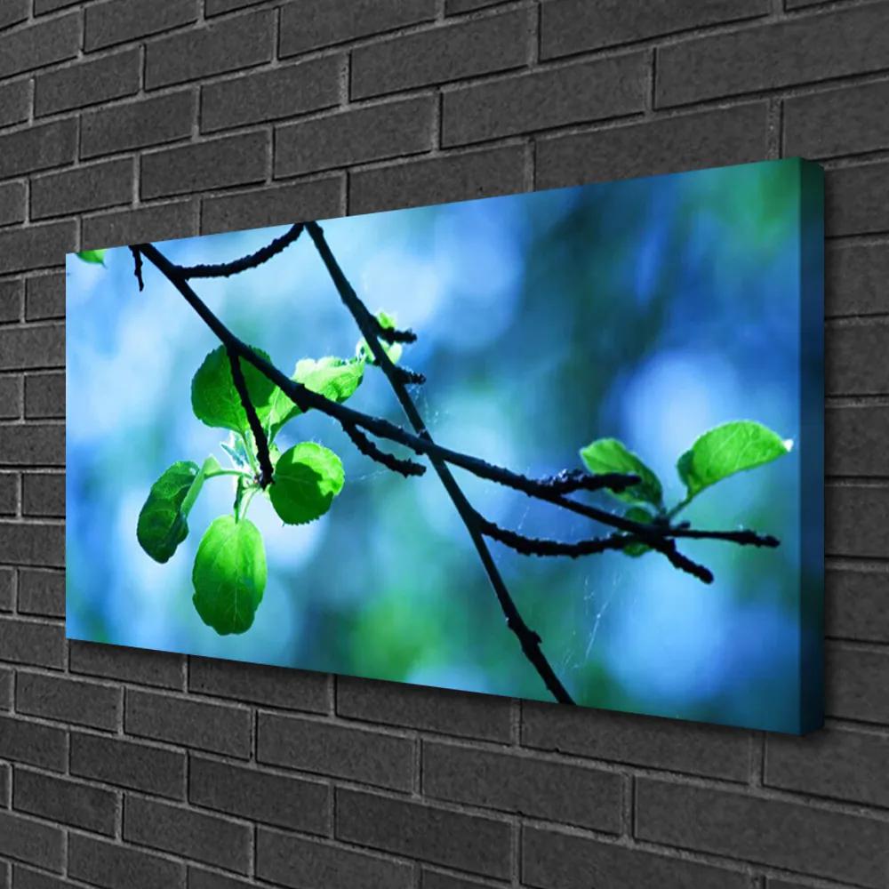 Obraz na plátně Větev Listy Rostlina Příroda 100x50 cm