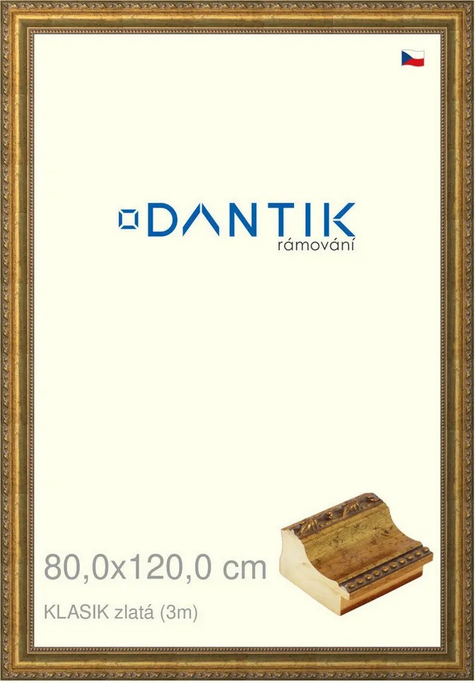 DANTIK rámeček 80x120 | KLASIK zlatá (Plexi Čiré)
