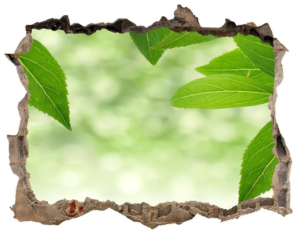 Wallmuralia Samolepící díra nálepka Zelené listí 95x64 cm