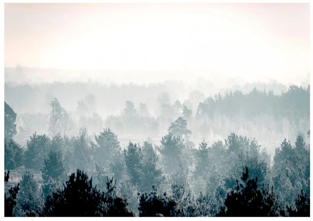 Fototapeta les v zimě (150x105 cm) - Murando DeLuxe