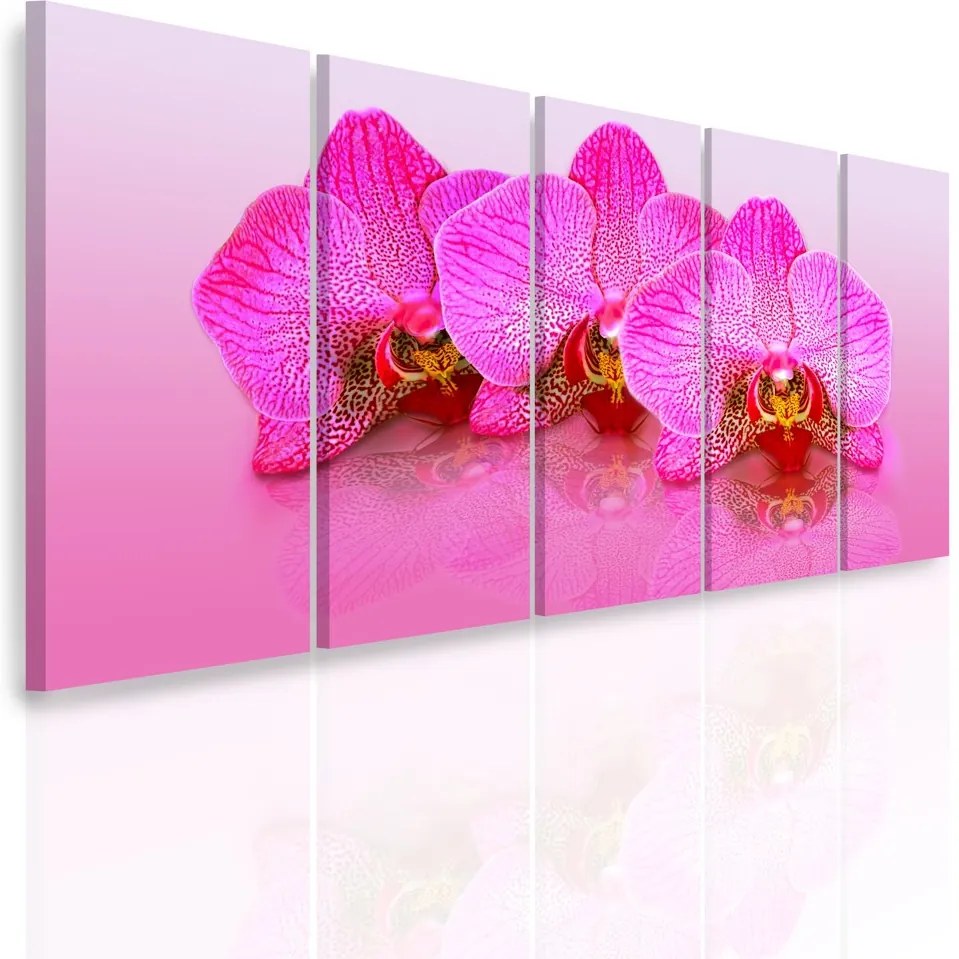 Vícedílný obraz - Růžové orchideje (150x70 cm) - InSmile ®
