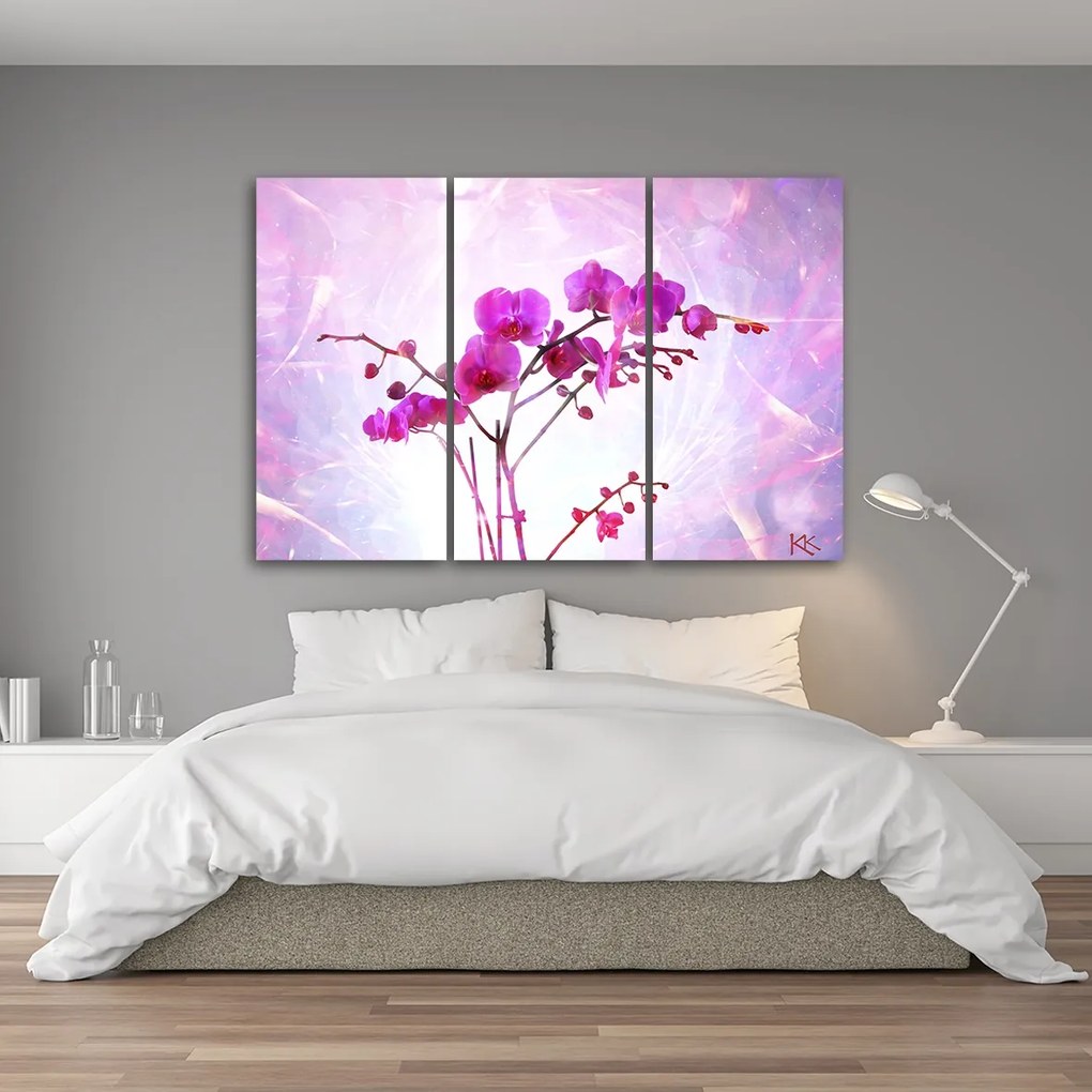 Obraz na plátně třídílný, Základní orchidej - 120x80 cm