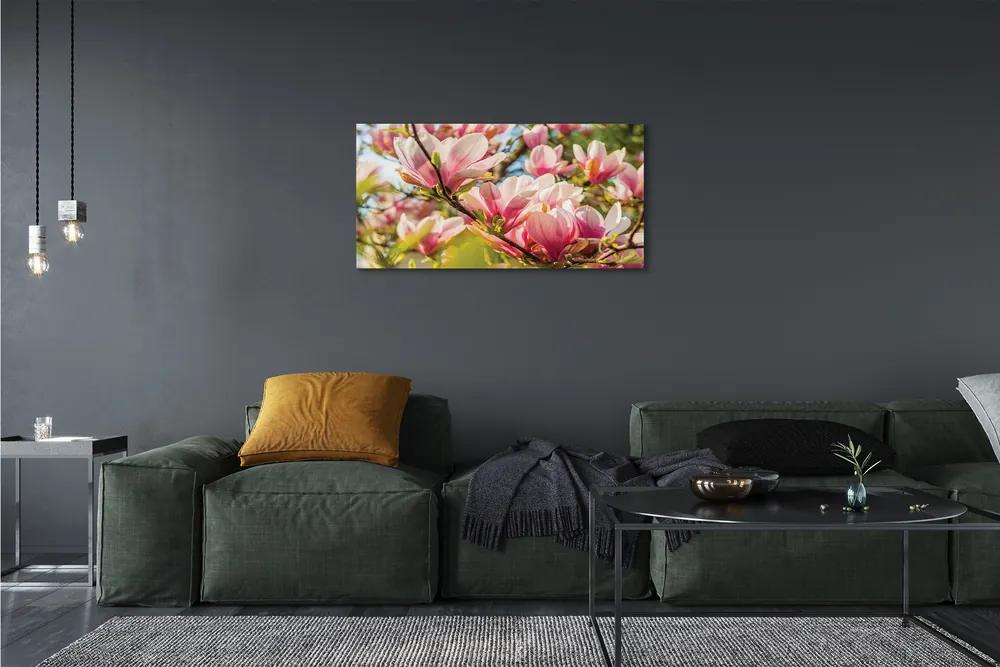 Obrazy na plátně růžová magnolie 100x50 cm