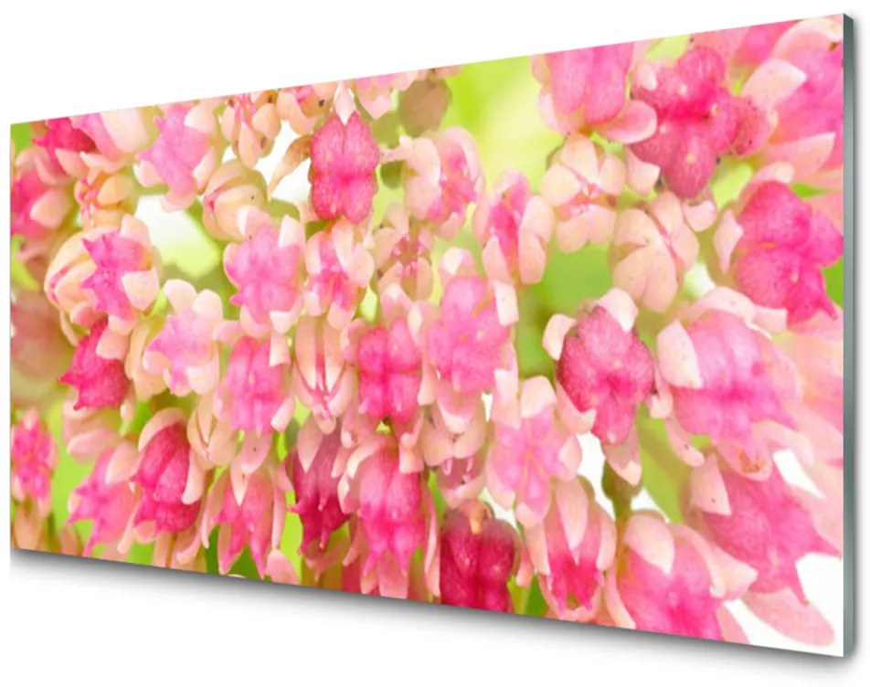Obraz na skle Skleněný Květ Lotosu