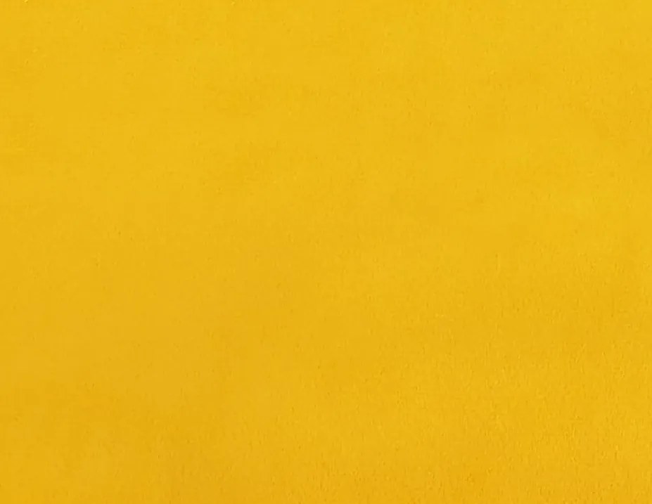 vidaXL Lavice 100x35x41 cm samet [349427] Barva: Žlutá