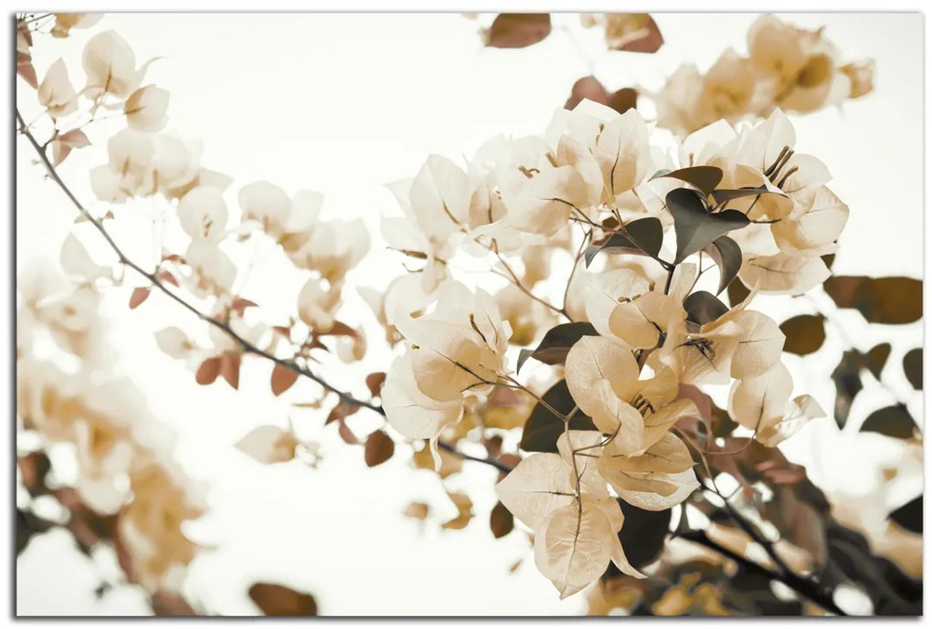 Obraz Hnědé květy , vícedílný