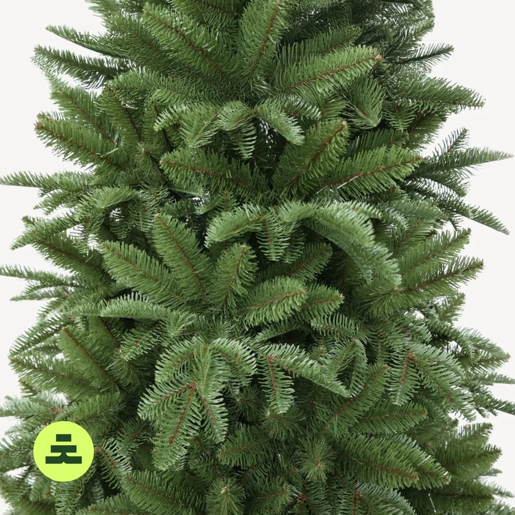 Jedle Normandská extra hustá 300 cm