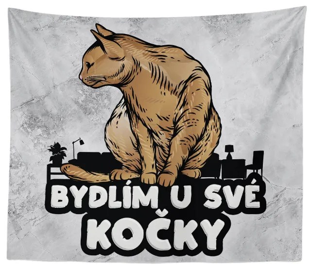 Sablio Deka Bydlím u své kočky: 150x120 cm