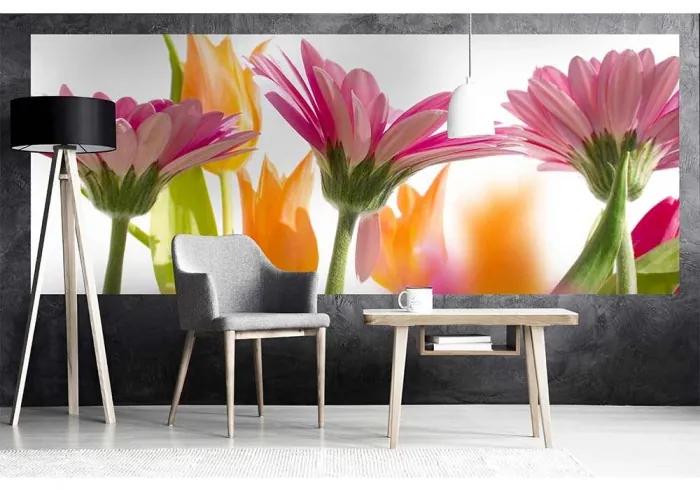 DIMEX | Panoramatická vliesová fototapeta na zeď Jarní květiny MP-2-0142  | 375 x 150 cm | bílá, růžová, žlutá, zelená