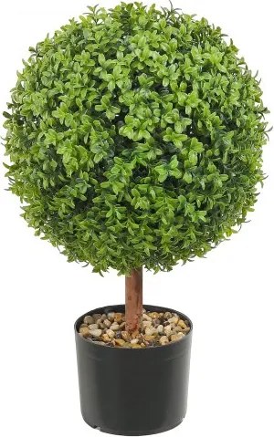 Umělé topiary Zimostrázové stromy, 61 cm vysoké (2 kusy)