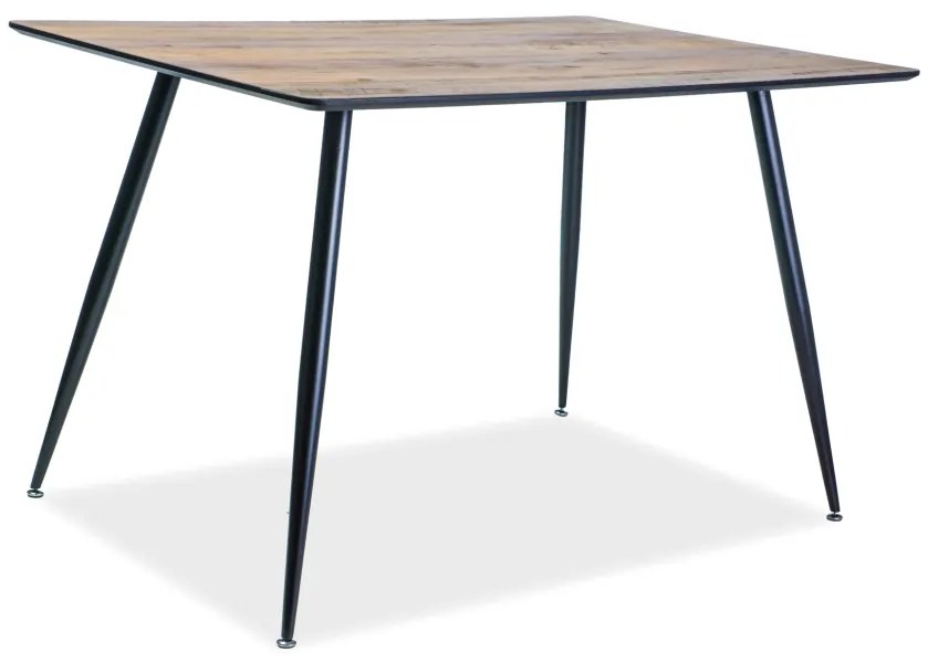 MAXIVA Jídelní stůl - REMUS, 120x80, ořech/černá