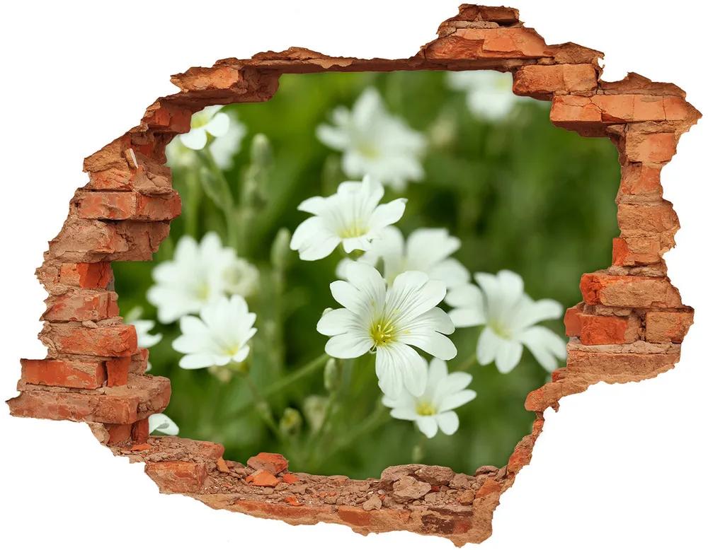Wallmuralia Samolepící nálepka na zeď Jarní květiny 90x70 cm