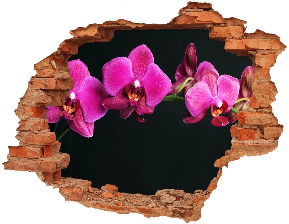 Wallmuralia Samolepící díra nálepka Orchidej 90x70 cm