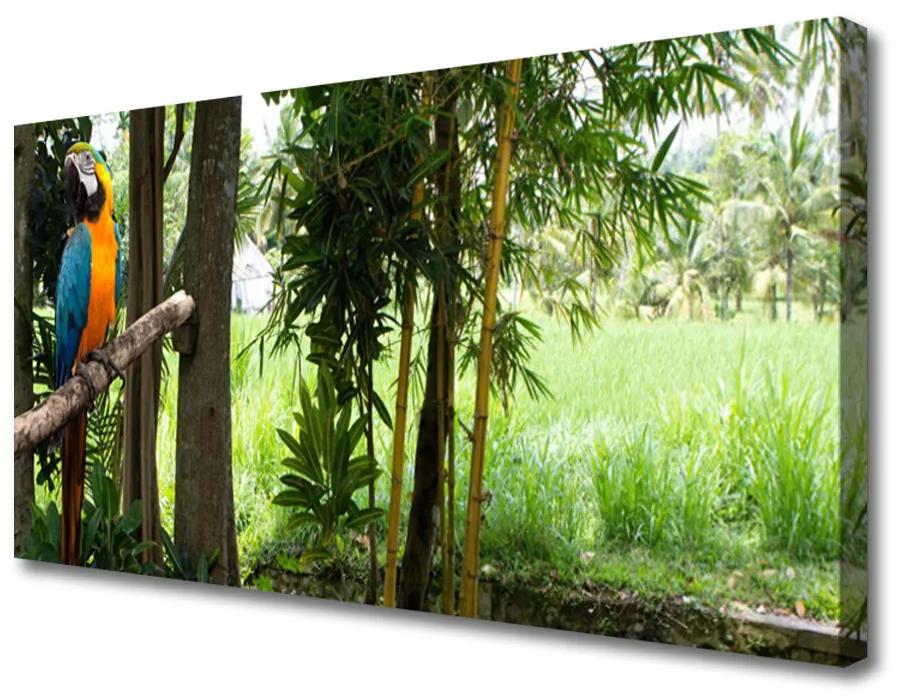 Obraz na plátně Papoušek Stromy Příroda 100x50cm