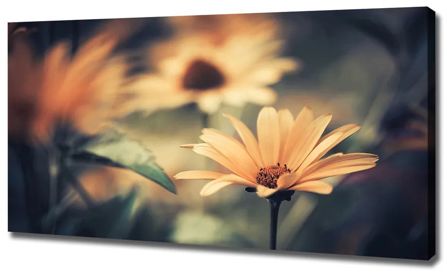 Wallmuralia Moderní obraz canvas na rámu Jarní květ 120x60 cm