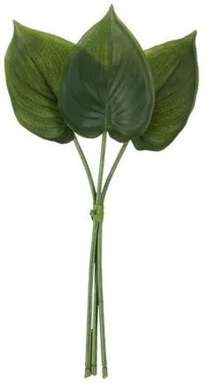 3 okrasné listy Philodendron I - 30cm