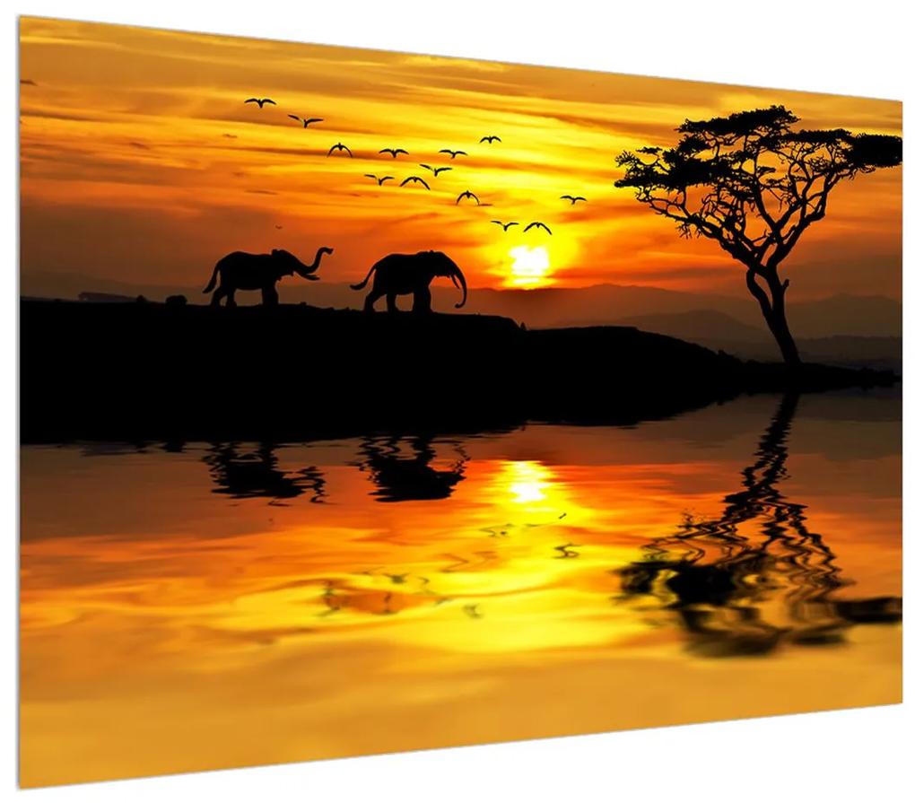 Obraz africké krajiny se slonem (100x70 cm)