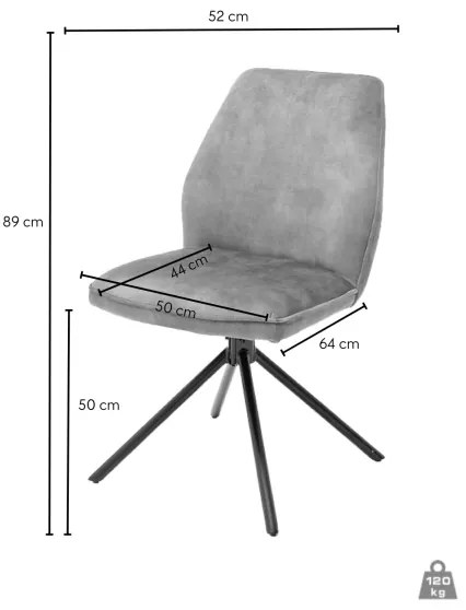 Jídelní židle NEXORO 1 ks šedá