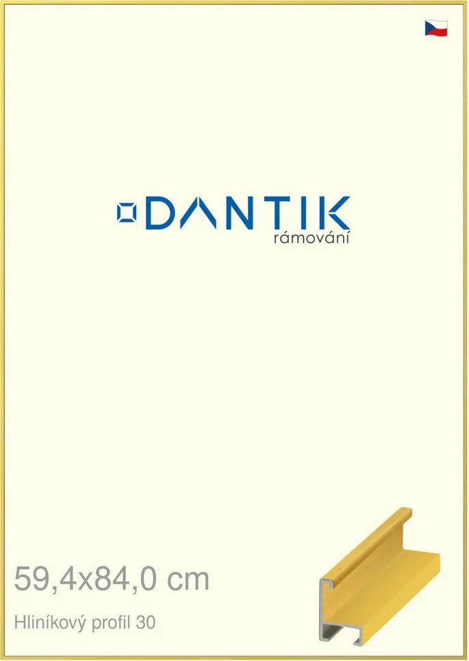 DANTIK rámeček 59,4x84 | ALU profil 6030 Dýha barevná žlutá citrus (Plexi Čiré)