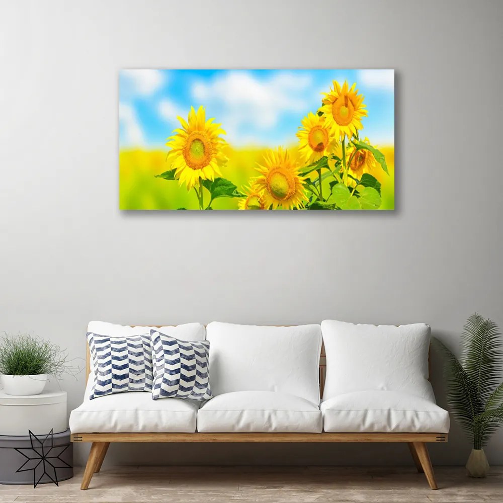Obraz na plátně Slunečnice Květiny Příroda 100x50 cm