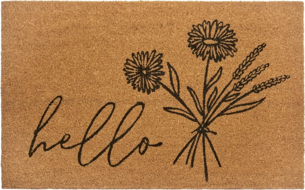Hanse Home, Rohožka Hello 105569 - na ven i na doma, 45x75, hnědá, chodba / předsíň