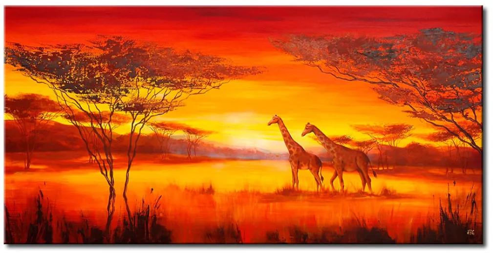 Obraz Procházka při západu slunce (1dílný) - žirafy putující po savaně