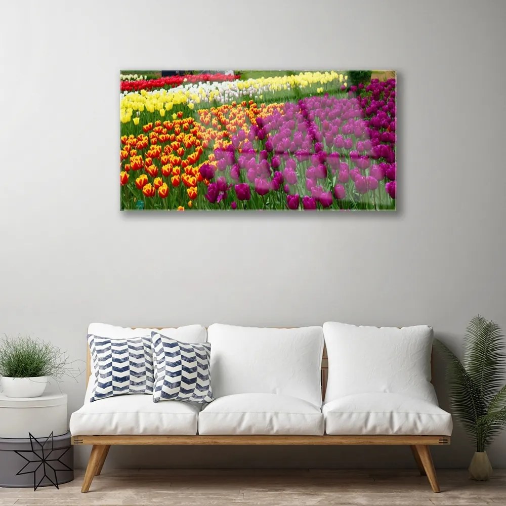 Obraz na skle Tulipány Květiny 100x50 cm