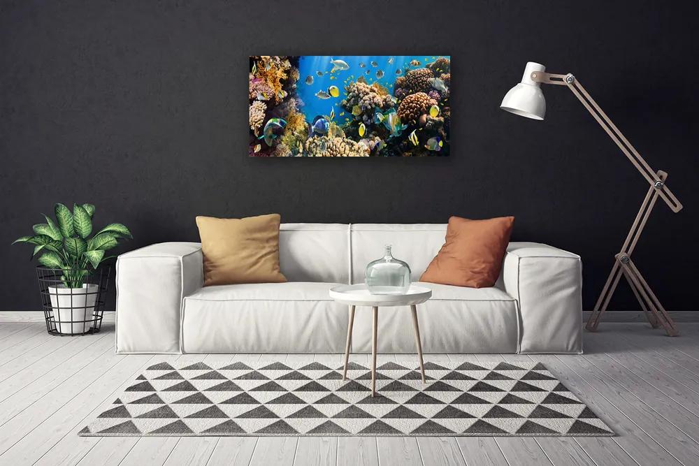 Obraz na plátně Korálový Útes Příroda 140x70 cm