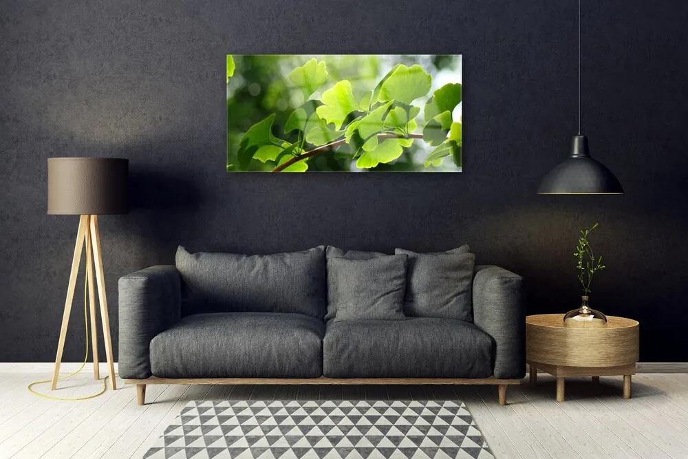 Plexisklo-obraz Větve Listy Příroda Strom 100x50 cm