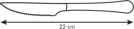 TESCOMA Steakový nůž CLASSIC, 2 ks