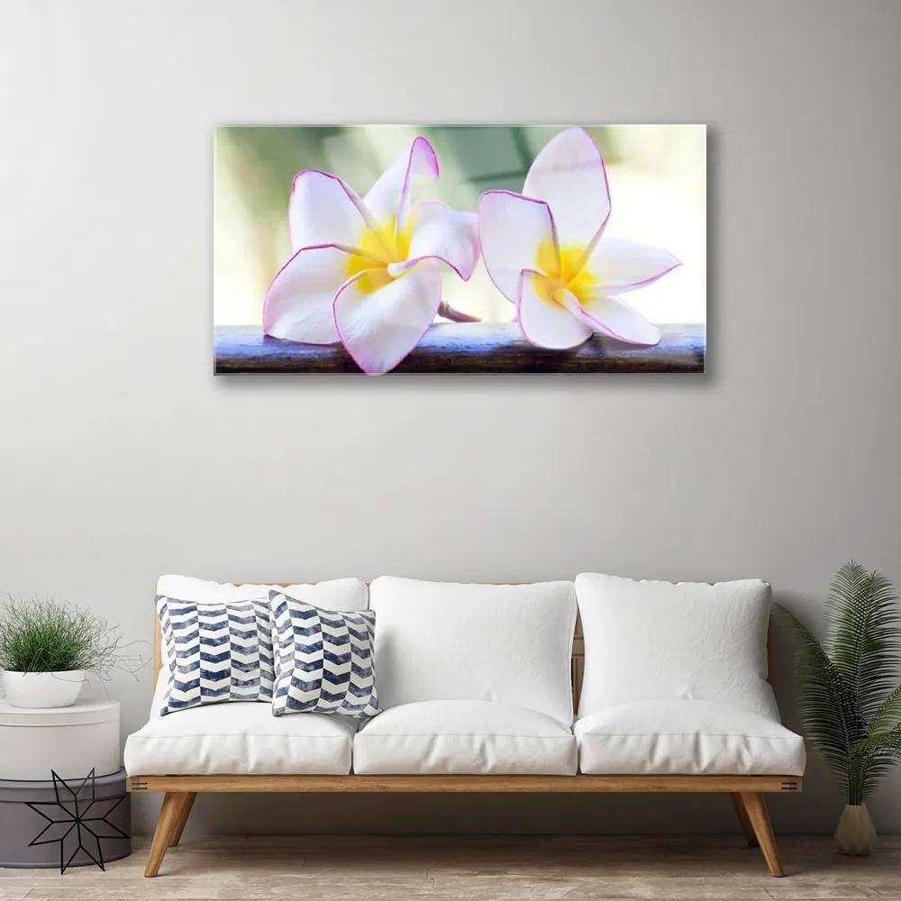 Obraz na skle Květiny Plátky Plumérie 100x50 cm