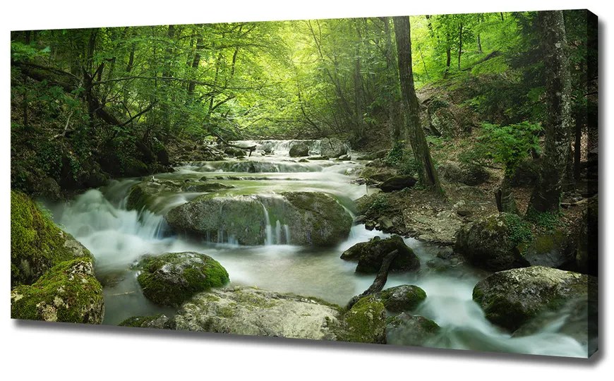 Wallmuralia Foto obraz na plátně Vodopád v lese 120x60 cm