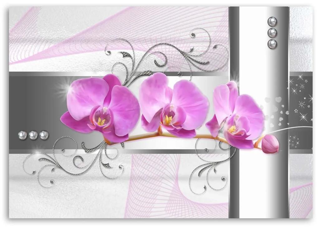 Obraz na plátně Květ orchideje - 100x70 cm