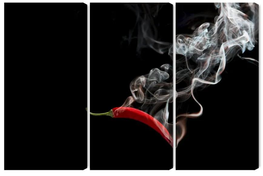 Vícedílný obraz Červené Chilli S Kouřem Nedostatek Nedostatek Plátno Canvas 60x40