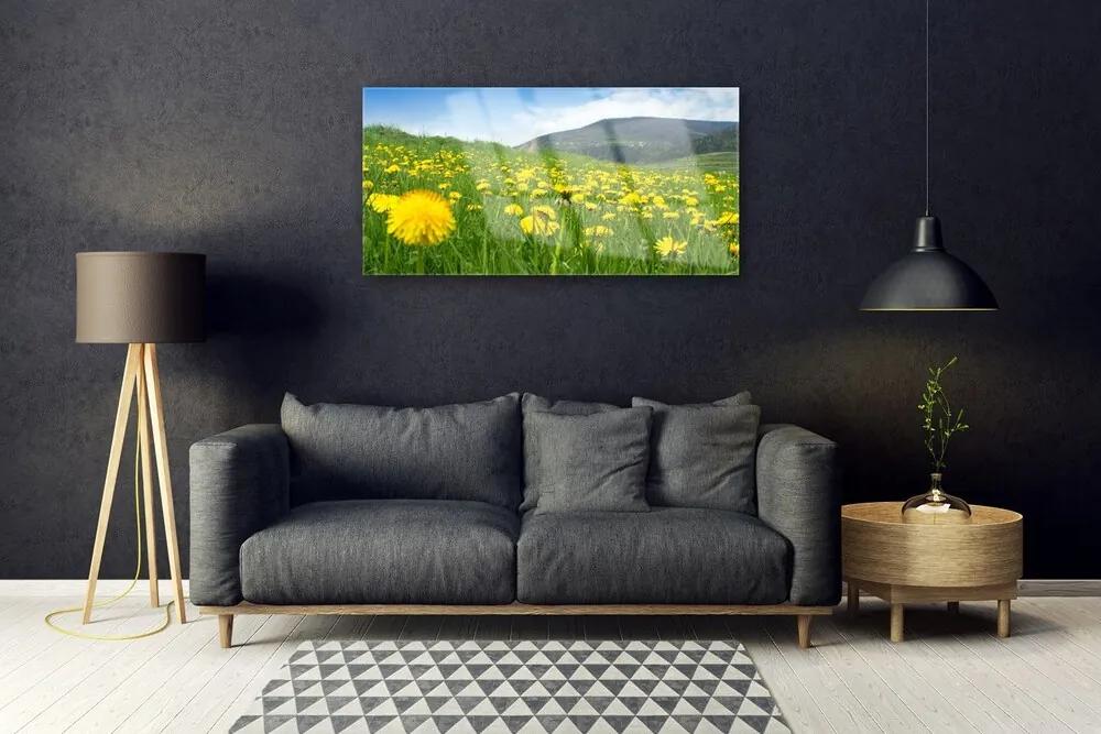 akrylový obraz Pampeliška Příroda 100x50 cm