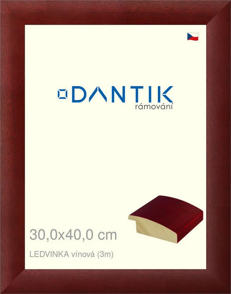 DANTIK rámeček 30x40 | LEDVINKA vínová (Plexi Čiré)