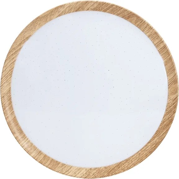 BRILAGI - LED Stropní svítidlo NATURA LED/12W/230V 4000K pr. 26,3 cm