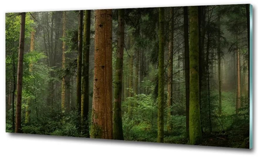 Wallmuralia Foto obraz sklo tvrzené Mlha v lese 100x50