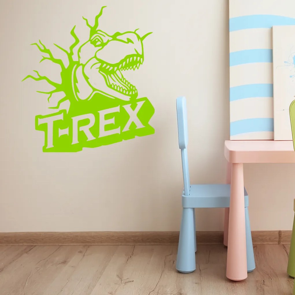 Živá Zeď Samolepka na zeď Dinosaurus T-REX Barva: černá