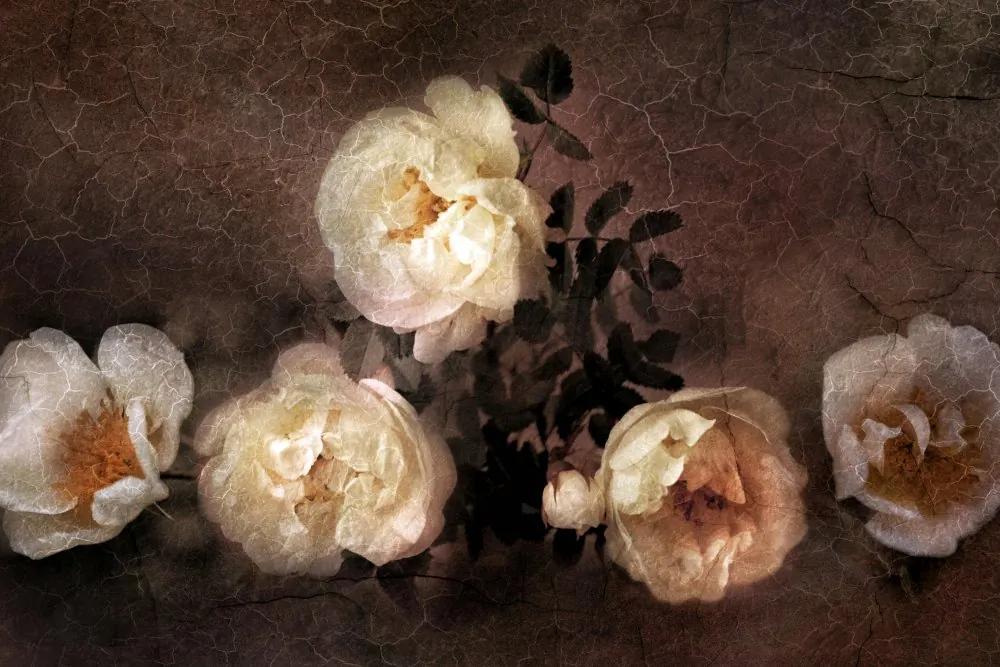 Obraz Vintage Divoké Růže Nedostatek Nedostatek Přírodní plátno 90x60