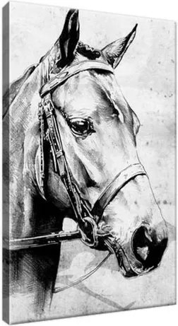 Tištěný obraz Kůň 20x30cm 1919A_1S