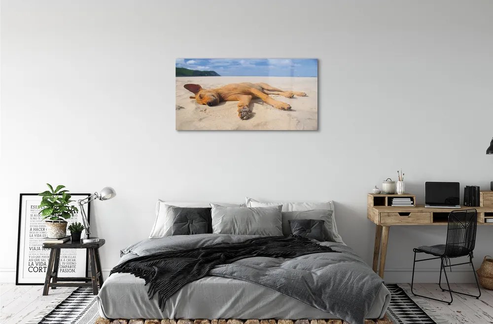 akrylový obraz Ležící pes pláž 100x50 cm