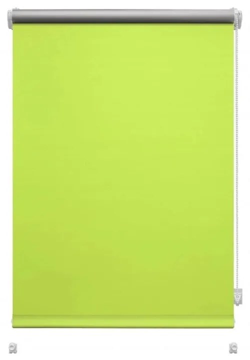 Světle zelená roleta 72,5x150 cm Mini Termo – Gardinia