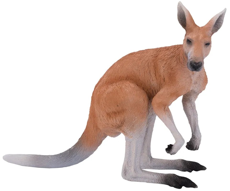 Mojo Klokan