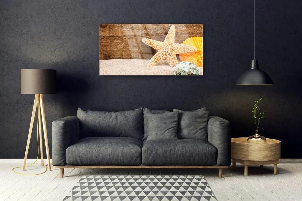 Obraz na skle Písek Hvězdice Umění 100x50 cm